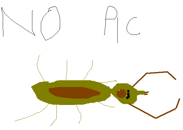 Wind Scorpion: Your Comprehensive Guide Made Simple