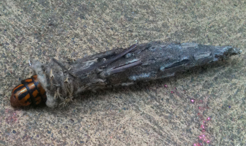 What Eats Bagworms? Tips and Tricks To Manage These Pests - What's That ...