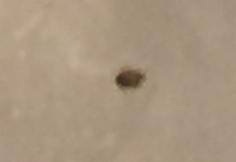 How to Get Rid of Mold Mites on Computer: Easy Steps for a Clean ...