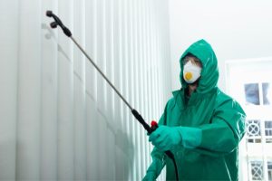 How To Get Rid Of Springtails In The Bathroom? - What's That Bug?