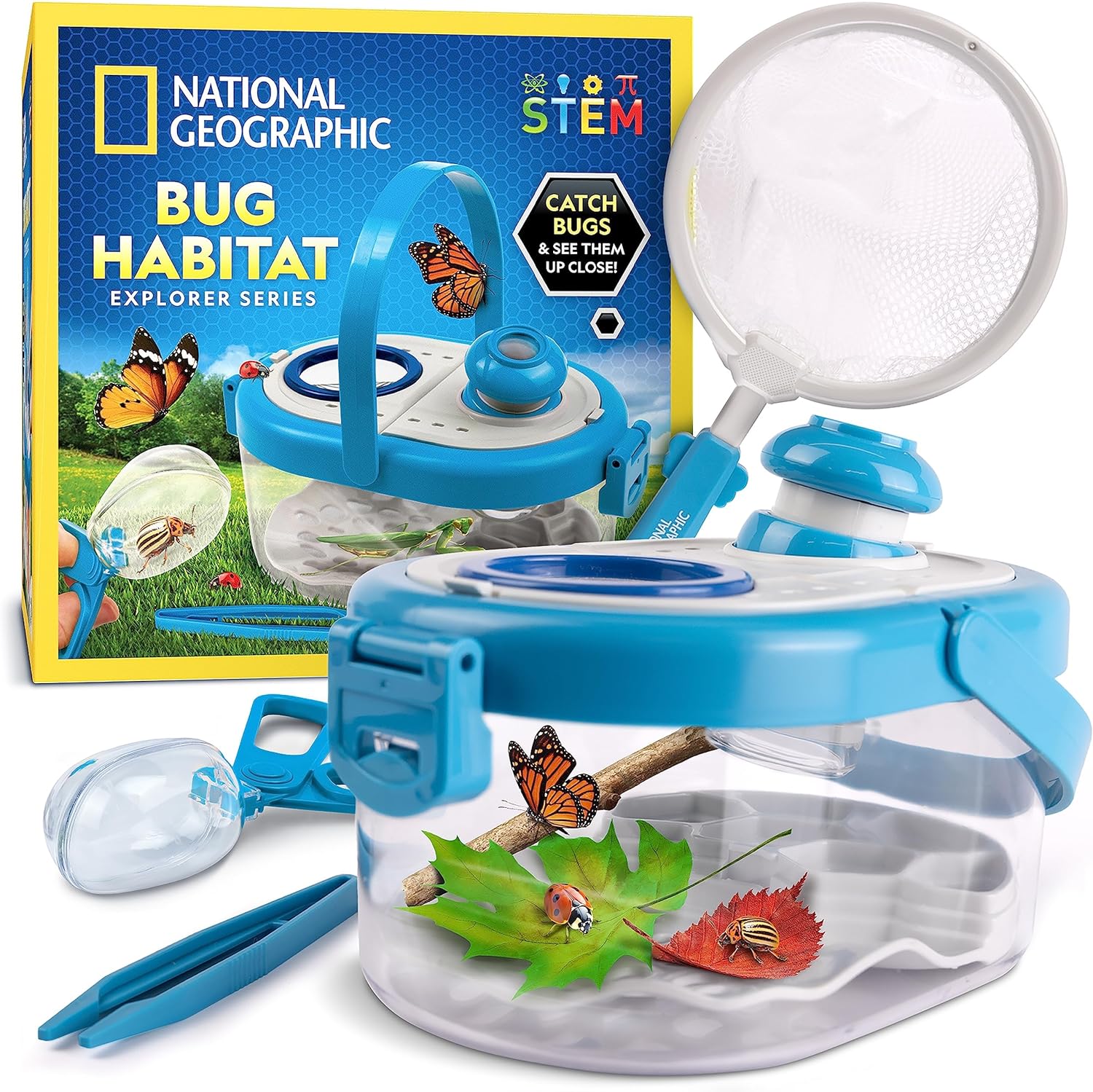 Our Favorite Insect Related Games - What's That Bug?